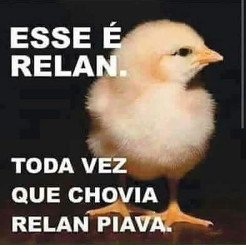 Relan sempre piava - Bombou no Whatsapp