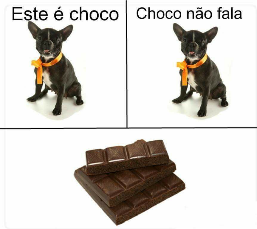 Choco não fala - Imagens Engraçadas do Whatsapp